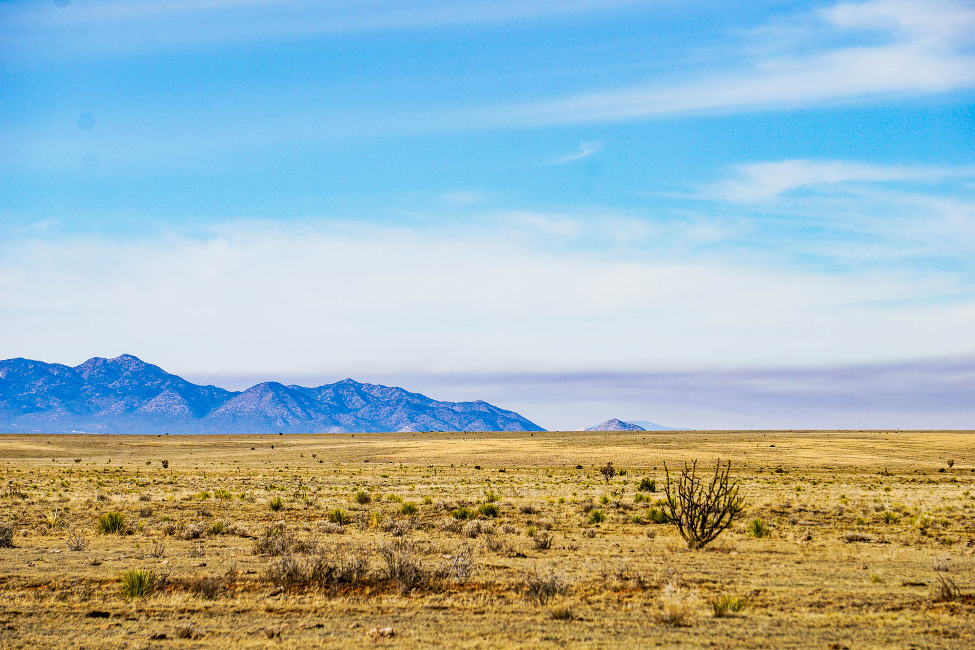 All listings – Landopia